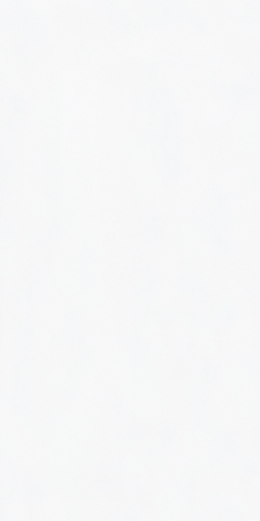Absolute White